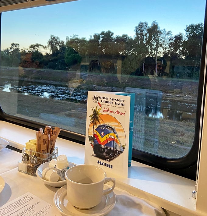 A perfectly framed window view with coffee at the ready – sometimes life's simplest pleasures are found in the spaces between destinations.