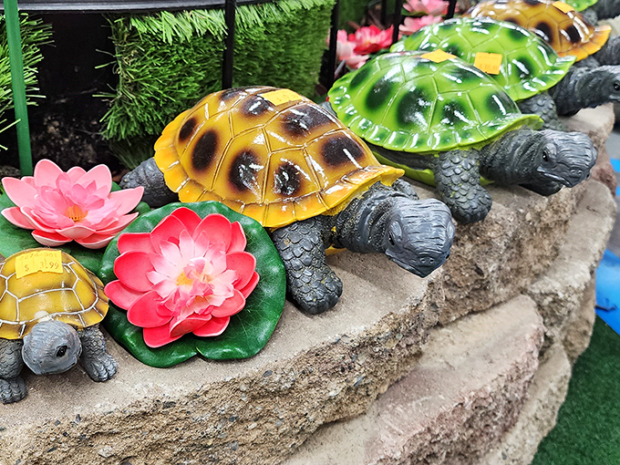 Garden turtles that move at exactly the right pace for Amish Country—slow, deliberate, and utterly charming.