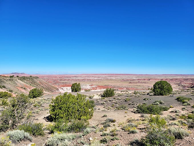 The desert's vastness humbles even the most jaded traveler. Miles of multicolored badlands stretch to the horizon, making your problems seem delightfully insignificant. 