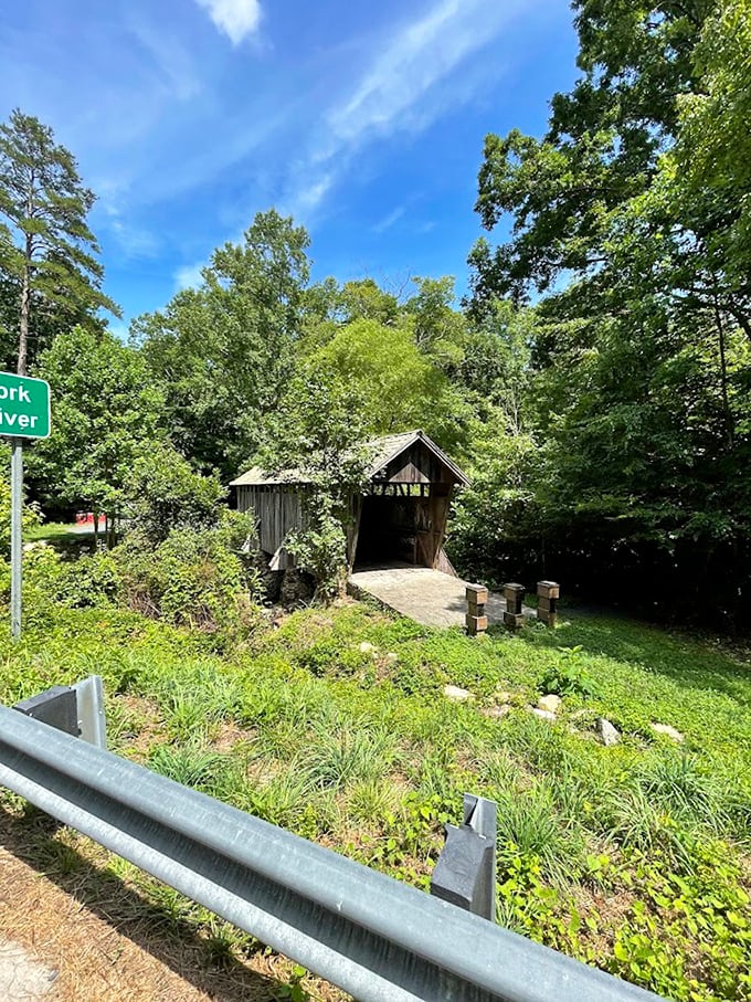From this peaceful distance, the bridge looks like it grew naturally from the North Carolina landscape.