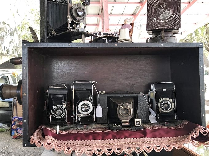 A time capsule of photography history. These vintage cameras once captured family vacations and first days of school long before selfies existed.