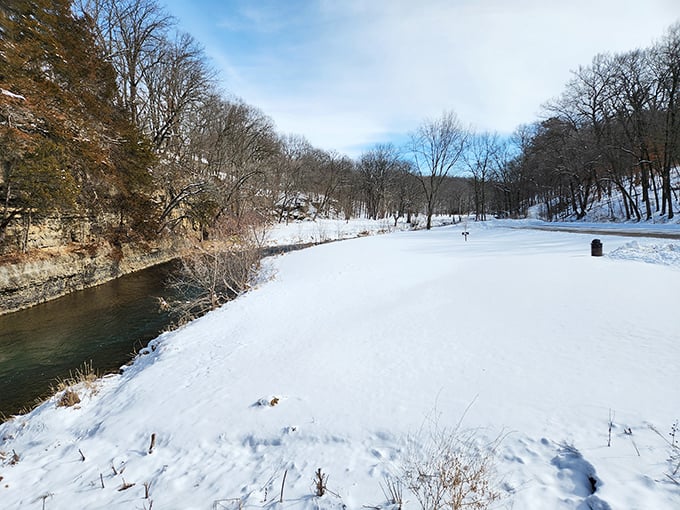 Winter transforms the park into a hushed wonderland where the river refuses to surrender to ice. Nature's lesson in persistence, served cold.