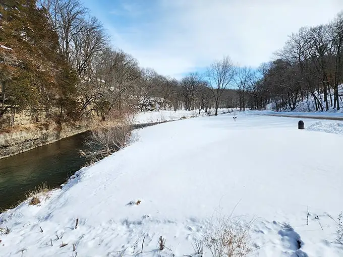 Winter transforms the park into a hushed wonderland where the river refuses to surrender to ice. Nature's lesson in persistence, served cold.