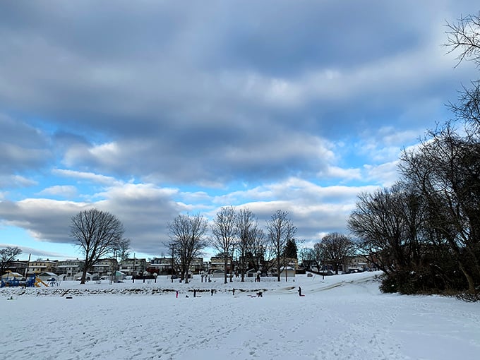 A winter wonderland awaits sledding enthusiasts, proving that Conshohocken's charm doesn't hibernate when temperatures drop.