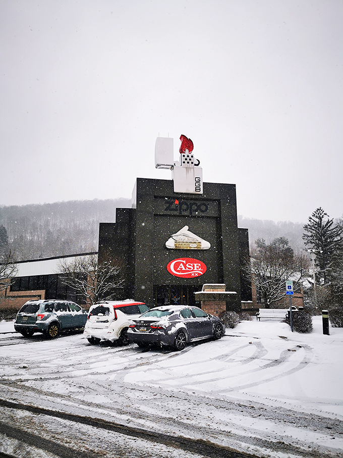 Even blanketed in snow, the museum's distinctive silhouette stands out—a warm destination on cold Pennsylvania days when adventure calls despite the weather.