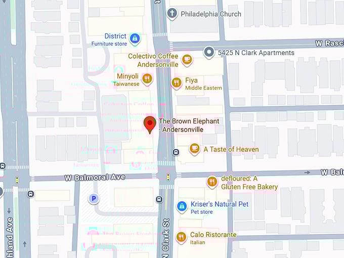 16. brown elephant map
