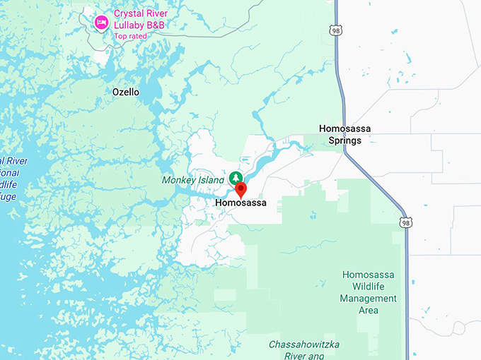 16. homosassa fl map