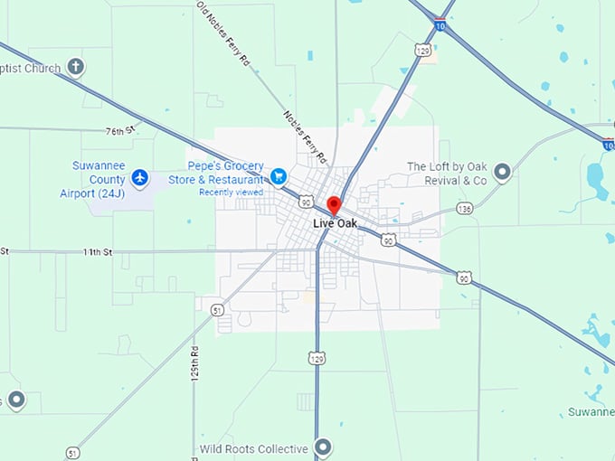 16. live oak map