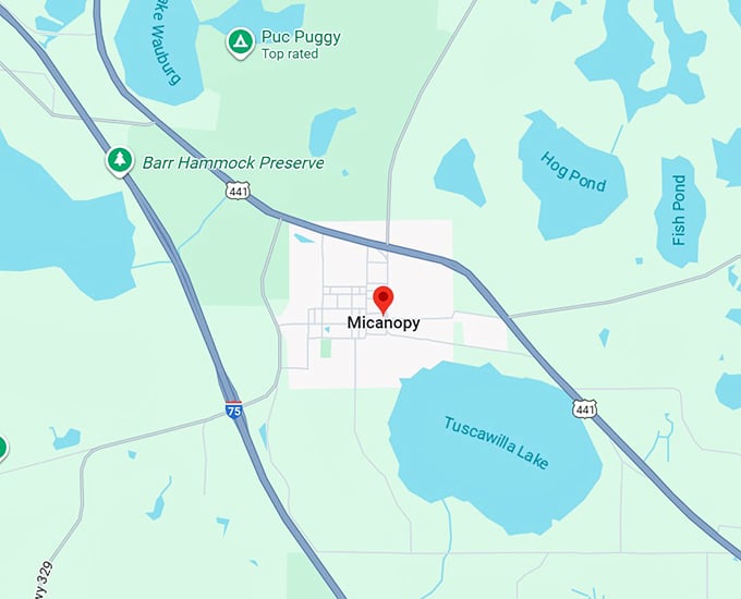 16. micanopy map