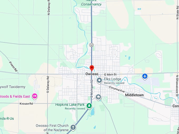 16. owosso mi map