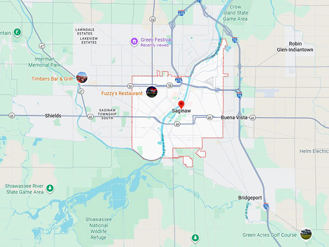 16. saginaw mi map