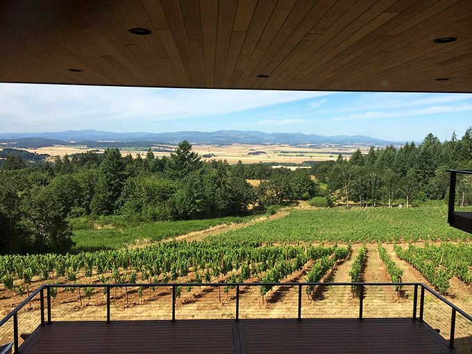 Covered deck dining provides perfect vineyard views while protecting guests from Oregon's famous drizzle.
