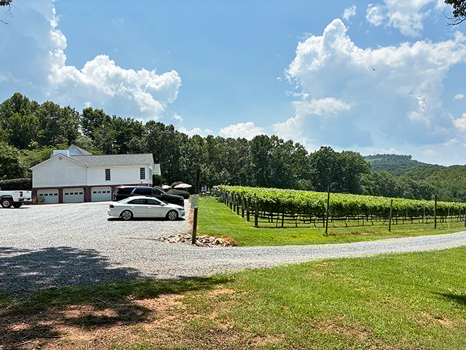Fables & Feathers' simple white tasting room proves you don't need fancy to have fantastic wine and views.