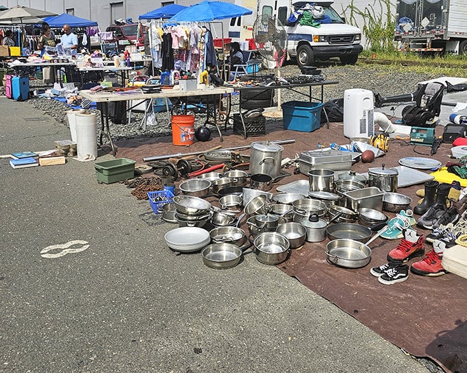 Treasure hunter's paradise! Kitchen pots and pans gleam in the morning sun at Avenel, where one person's castoffs become another's prized possessions.