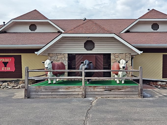 Those eye-catching cows out front aren’t just decoration – they’re promising you the real deal inside.
