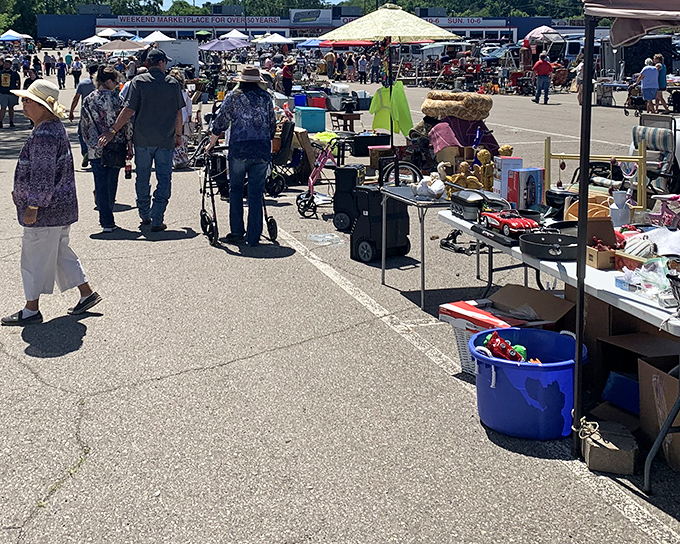Saturday morning magic at Dixieland, where treasure hunters gather like it's the world's best garage sale convention.