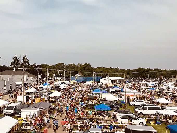 Aerial view of Elkhorn's treasure hunt paradise – where one person's attic castoffs become another's prized collection starter!