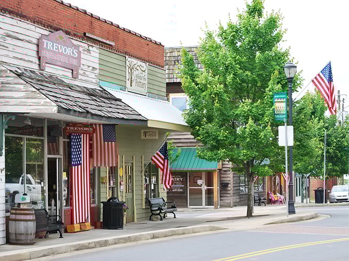 Downtown Ellijay's charming storefronts welcome visitors with Americana flair. Those flags aren't just decoration—they're a promise of small-town hospitality.
