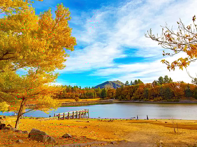 Look at that golden hour glow! Julian's lake turns into nature's own Instagram filter every autumn evening. 