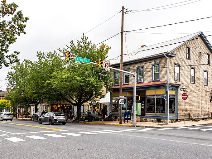 Main Street magic happens here, where every storefront tells a story worth stopping for.