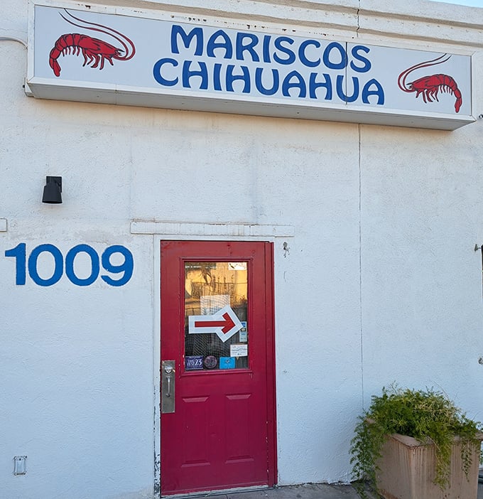 Sometimes the best treasures hide behind the most unassuming doors in Tucson.