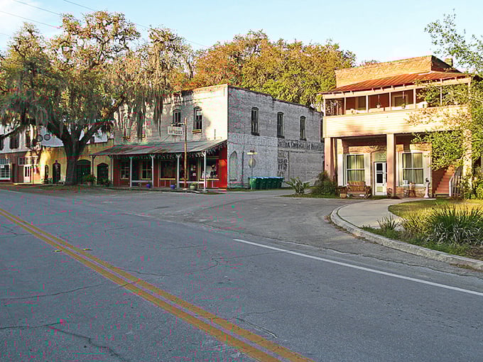 Spanish moss drapes these historic streets like nature's own vintage lace curtains.