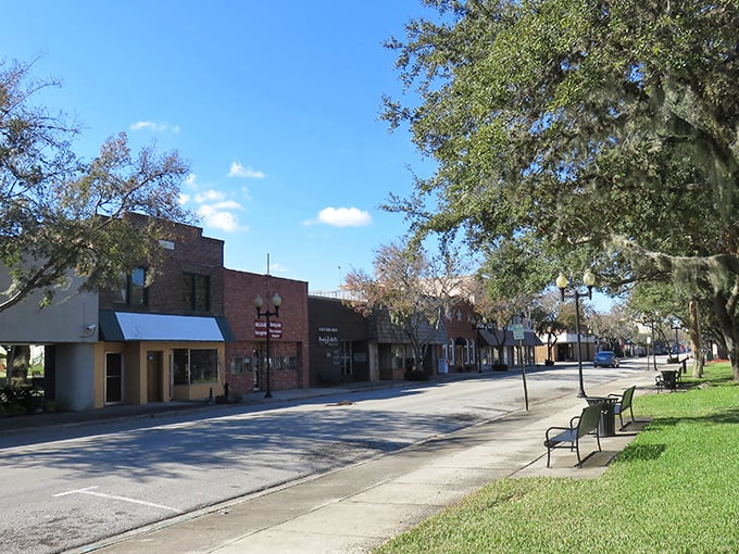 Tree-lined streets whisper stories of old Florida, where time moves like honey and every corner holds charm.