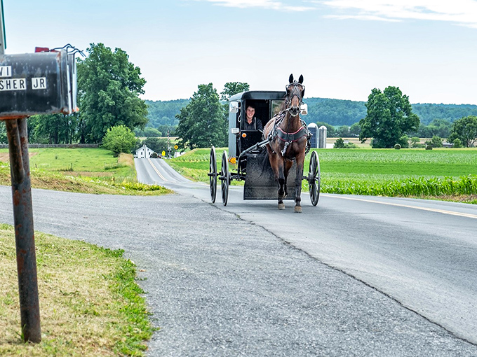 Clip-clop time travel! Where Fisher Jr. gets mail and the rest of us get a glimpse of Paradise's rolling countryside—horsepower of the four-legged variety.