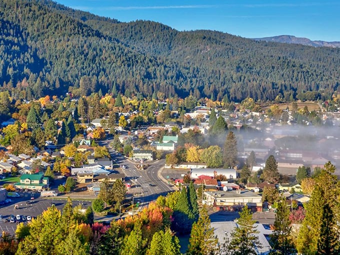 Morning mist blankets Quincy like nature's own comforter, turning an ordinary mountain town into something from a fairy tale.
