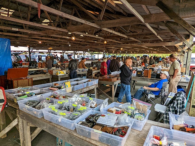 Under rustic beams, treasure hunters navigate organized chaos where every plastic bin holds potential gold.
