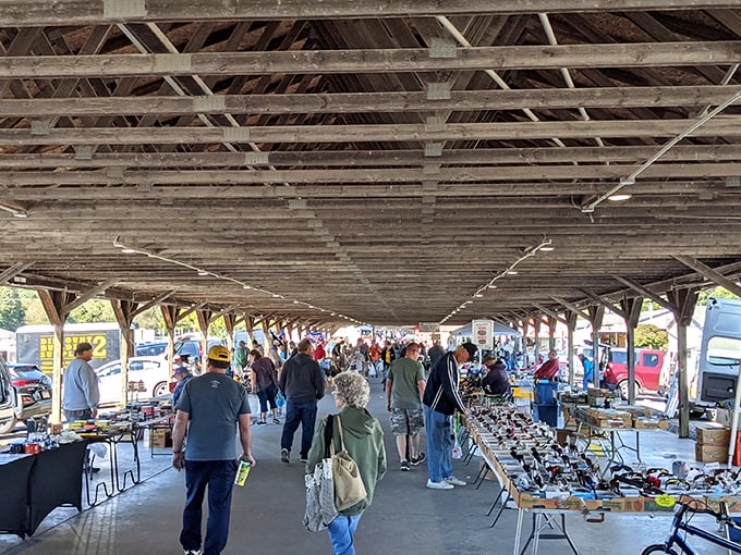 Under this weathered pavilion, treasure hunters gather like pilgrims seeking the holy grail of bargains.