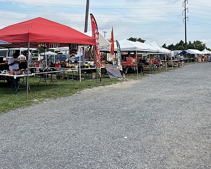 Red tents and gravel paths create a treasure hunter's paradise in Virginia's beautiful countryside.
