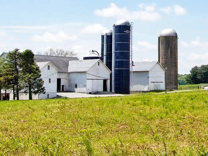 Here's where American agriculture meets picture-perfect pastoral beauty - those towering silos store tomorrow's fresh milk and cheese.