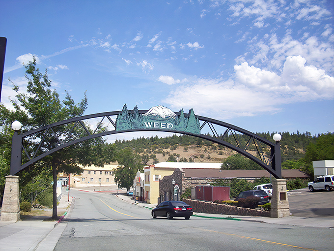 Welcome to Weed - where the town name gets more laughs than a sitcom rerun.