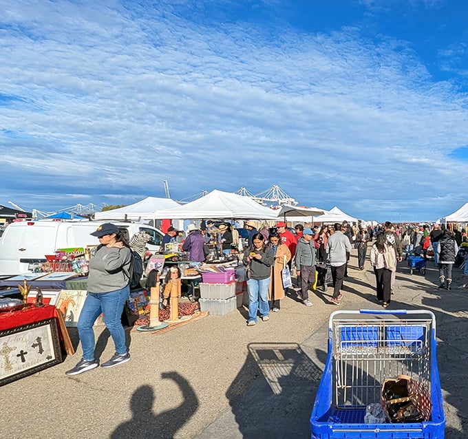 The early bird gets the vintage lamp! Shoppers navigate a sea of white tents at Alameda, where patience and comfortable shoes are your best friends.