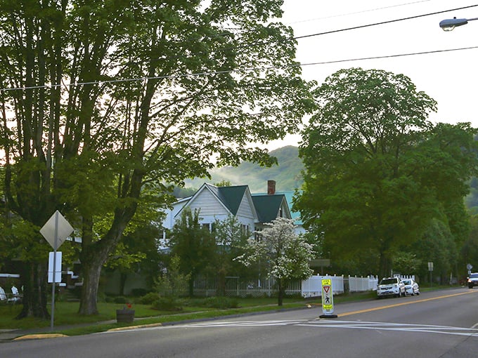 Tree-lined streets and mountain backdrops create the perfect small-town symphony that never gets old.
