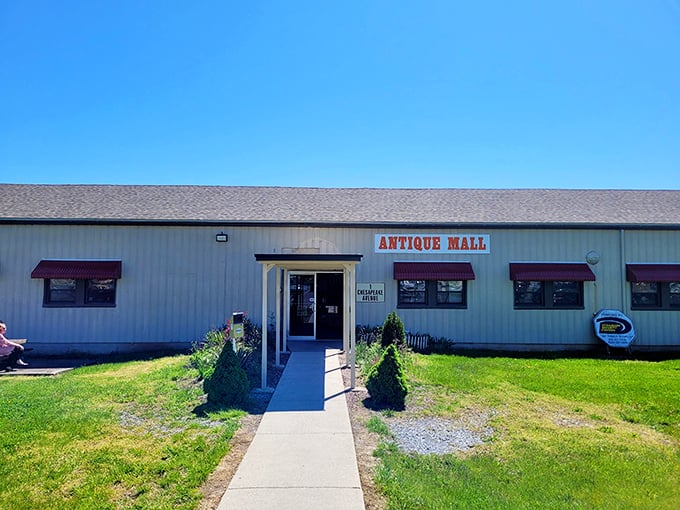 Sometimes the best treasures hide behind the most unassuming doors - this place proves that theory perfectly.