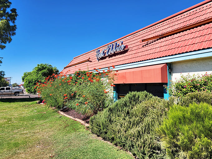 The vibrant landscaping outside Fast Eddie's is as fresh as their morning pancakes – a feast for all senses!