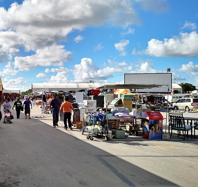 Under Florida's famous sunshine, shoppers browse endless rows of merchandise. This isn't just shopping—it's an outdoor adventure!