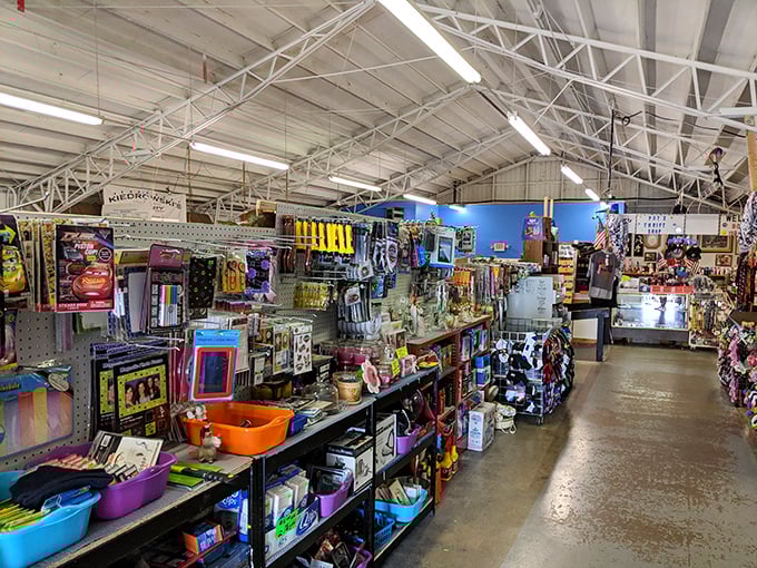 Endless aisles of organized chaos reveal hidden gems beneath those familiar fluorescent lights we all know.