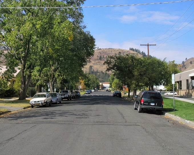 Tree-lined streets and mountain views make every morning walk feel like a nature documentary scene. 