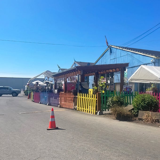 Blue skies and bargain hunting go hand-in-hand at M&M Marketplace. Those multicolored picket fences aren't just Instagram-worthy—they're the gateway to flea market paradise.