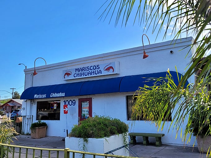 That red door opens to seafood magic that locals have cherished for years.