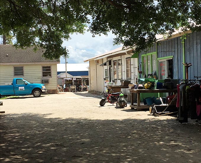 Outdoor shopping paradise where bicycles and bargains create the perfect weekend treasure hunting adventure.