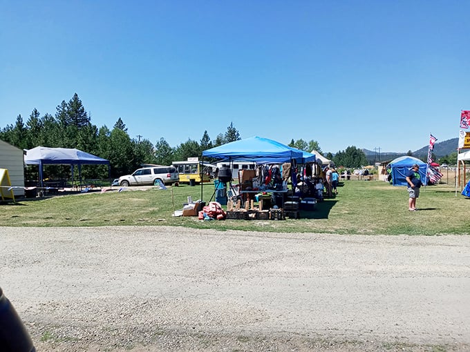 Blue skies and bargain hunting - the perfect Idaho Saturday morning combination under colorful vendor tents.
