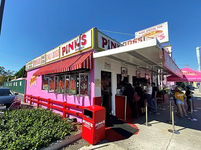 When the line wraps around the block, you know you've found something special worth the wait.