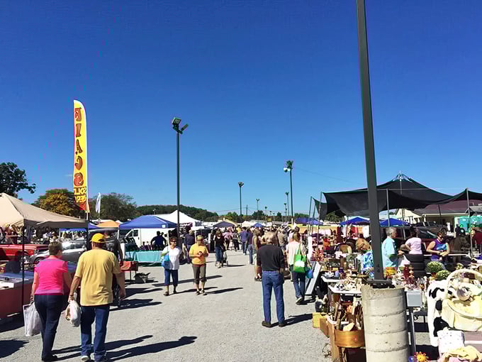 The outdoor market sprawls endlessly, where one person's clutter becomes another's cherished discovery.