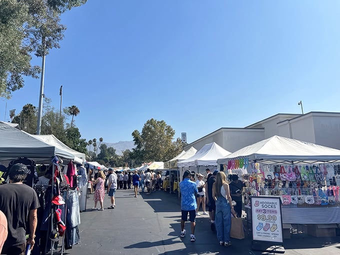 Morning light bathes the Rose Bowl vendors in golden possibility—each white tent a potential goldmine of vintage finds.