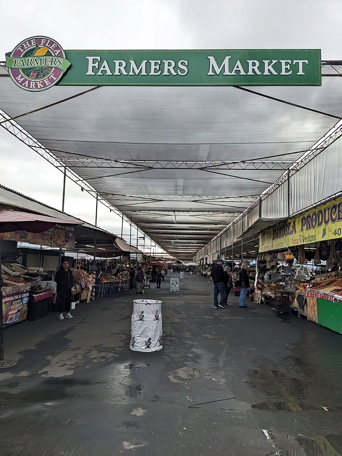 The Farmers Market sign welcomes shoppers to a world of fresh produce and unique finds.