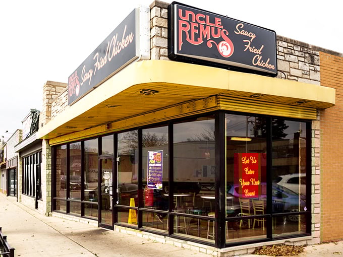 Sometimes the best treasures hide behind the most unassuming storefronts in suburban Illinois.
